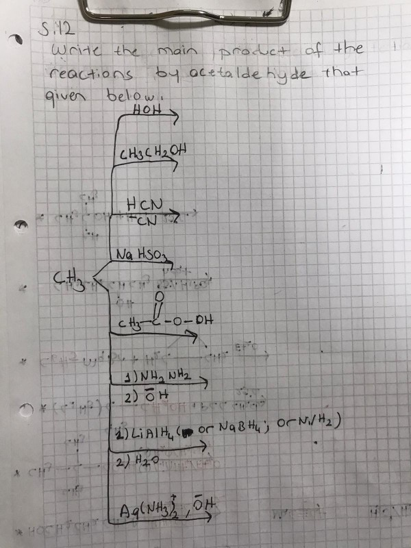 Solved 5.42 Write the main product of the reactions by | Chegg.com