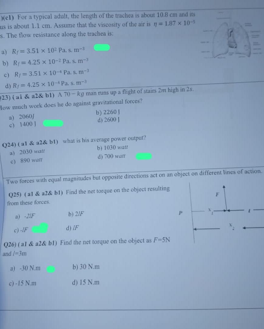 Solved (c1) ﻿For a typical adult, the length of the trachea | Chegg.com