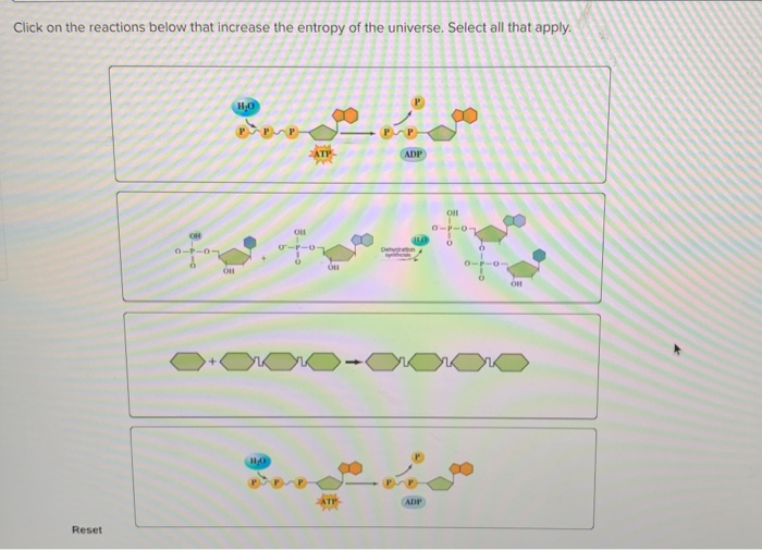 Solved Click on the reactions below that increase the | Chegg.com