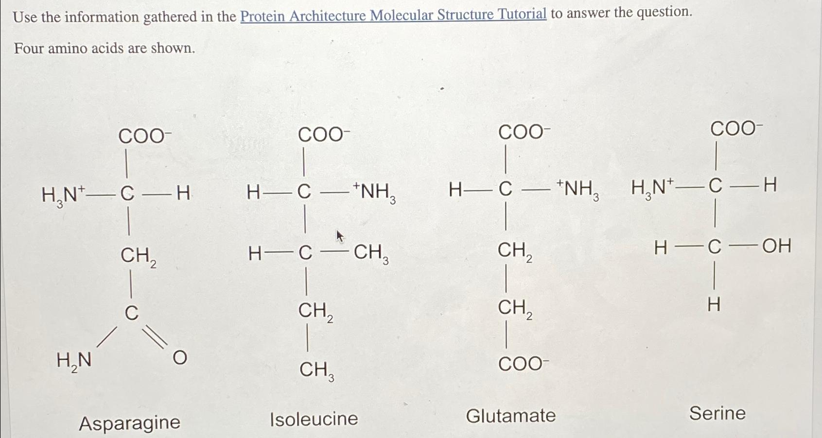 Solved Use the information gathered in the Protein | Chegg.com