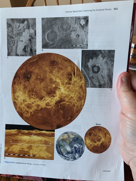 Solved 353 Exercise Twenty One Examining the Terrestrial | Chegg.com