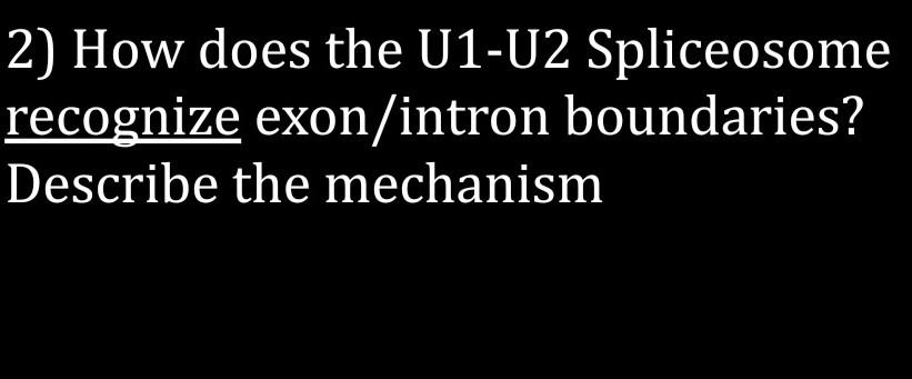 Solved 2) How does the U1-U2 Spliceosome recognize | Chegg.com