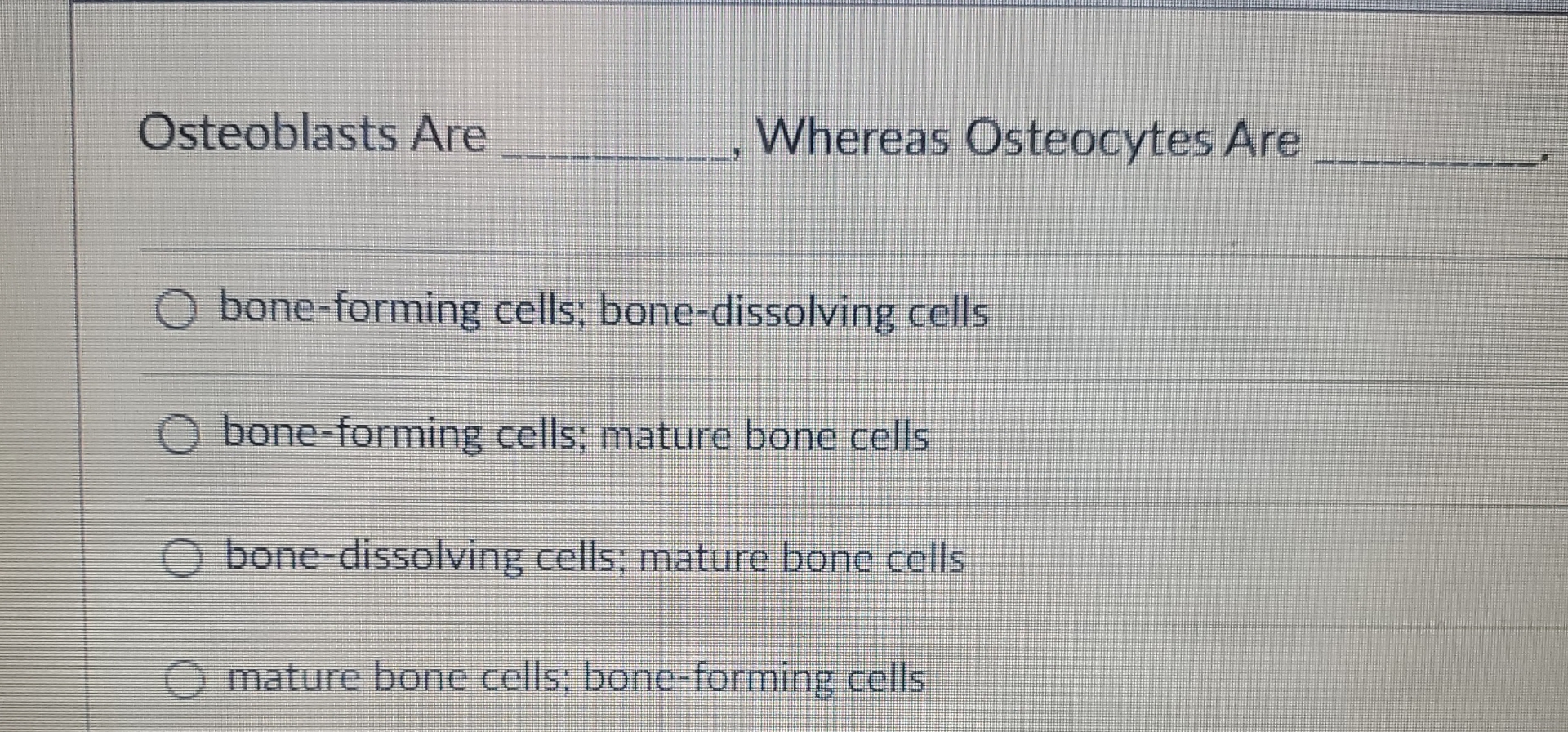 Solved Osteoblasts Are q, ﻿Whereas Osteocytes Are | Chegg.com