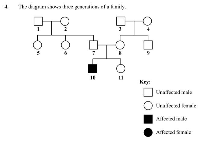 Solved 4. The diagram shows three generations of a family. | Chegg.com