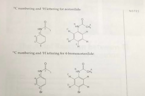 Solved The ^1H and ^13C NMR peaks of both acetanilide and | Chegg.com