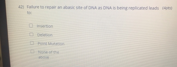 Solved 28) In eukaryotes, the "end replication problem" that | Chegg.com