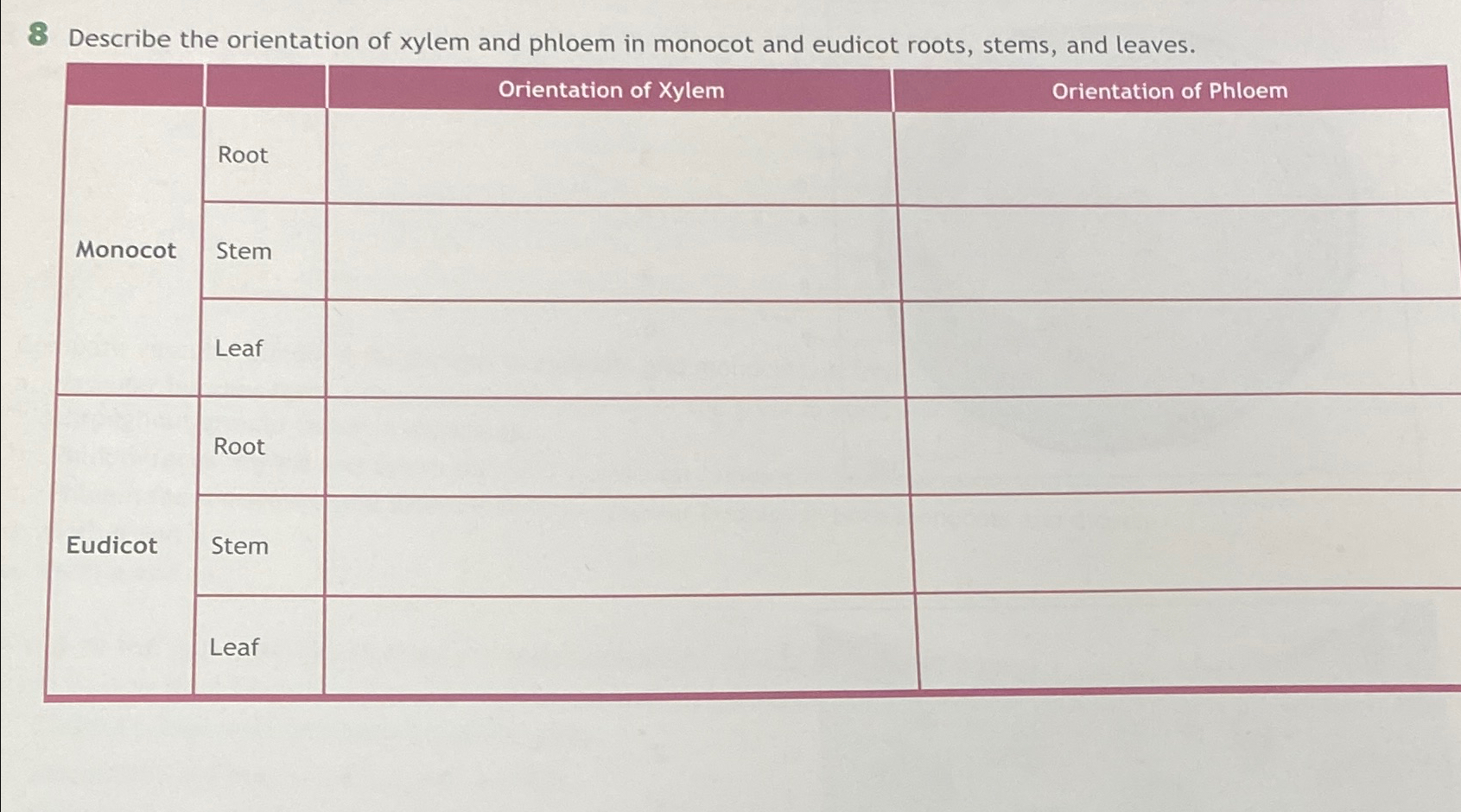 Solved 8 ﻿Describe the orientation of xylem and phloem in | Chegg.com