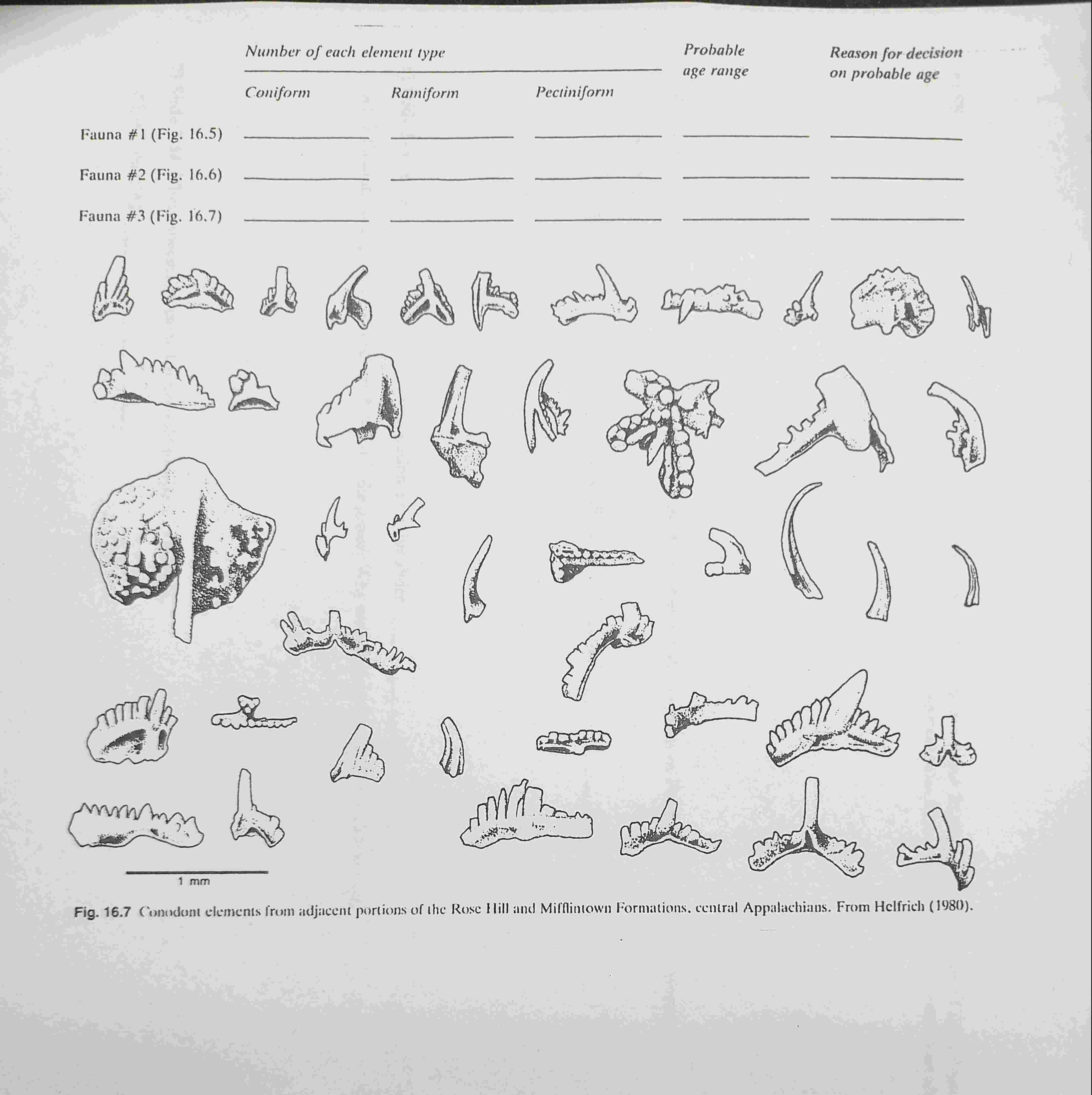 Solved by an EXPERT illustrate three different conodont faunas. For ...