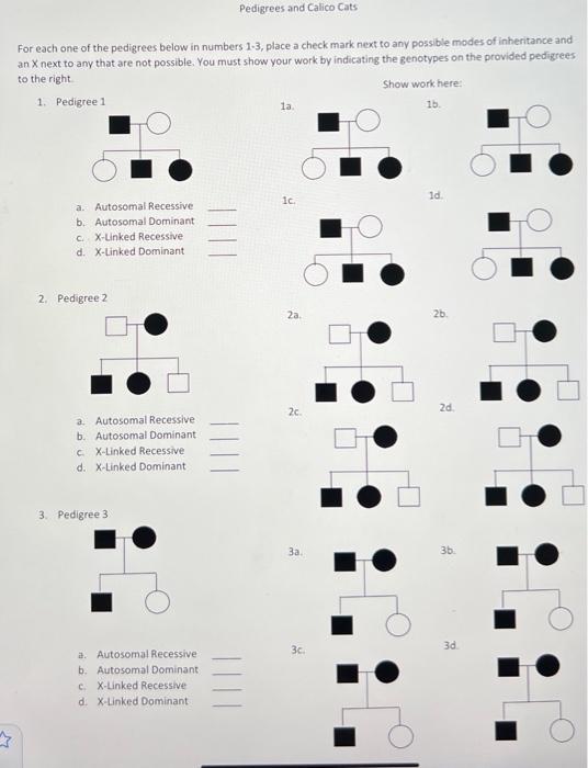 Solved Pedigrees and Callico Cats For each one of the | Chegg.com Solved Pedigrees and Callico Cats For each one of the | Chegg.com