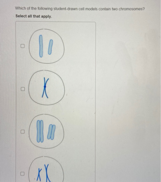 Solved Which Of The Following Student drawn Cell Models Chegg