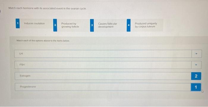 Solved Match each hormone with its associated event in the | Chegg.com