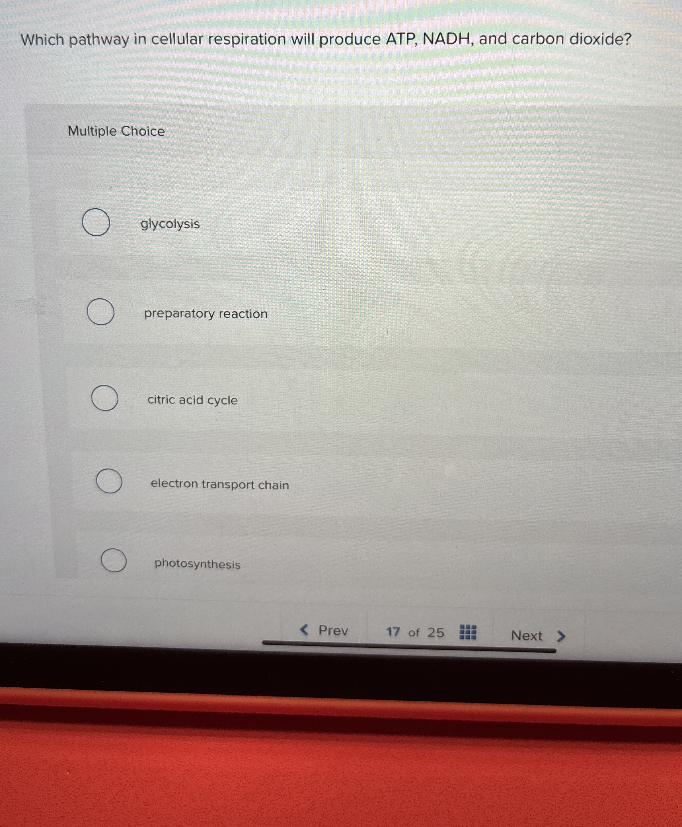 Solved Which pathway in cellular respiration will produce | Chegg.com