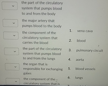 Solved the part of the circulatory system that pumps blood | Chegg.com