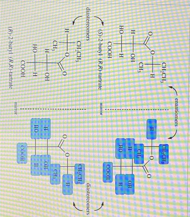 Solved Drag the appropriate labels to their respective | Chegg.com