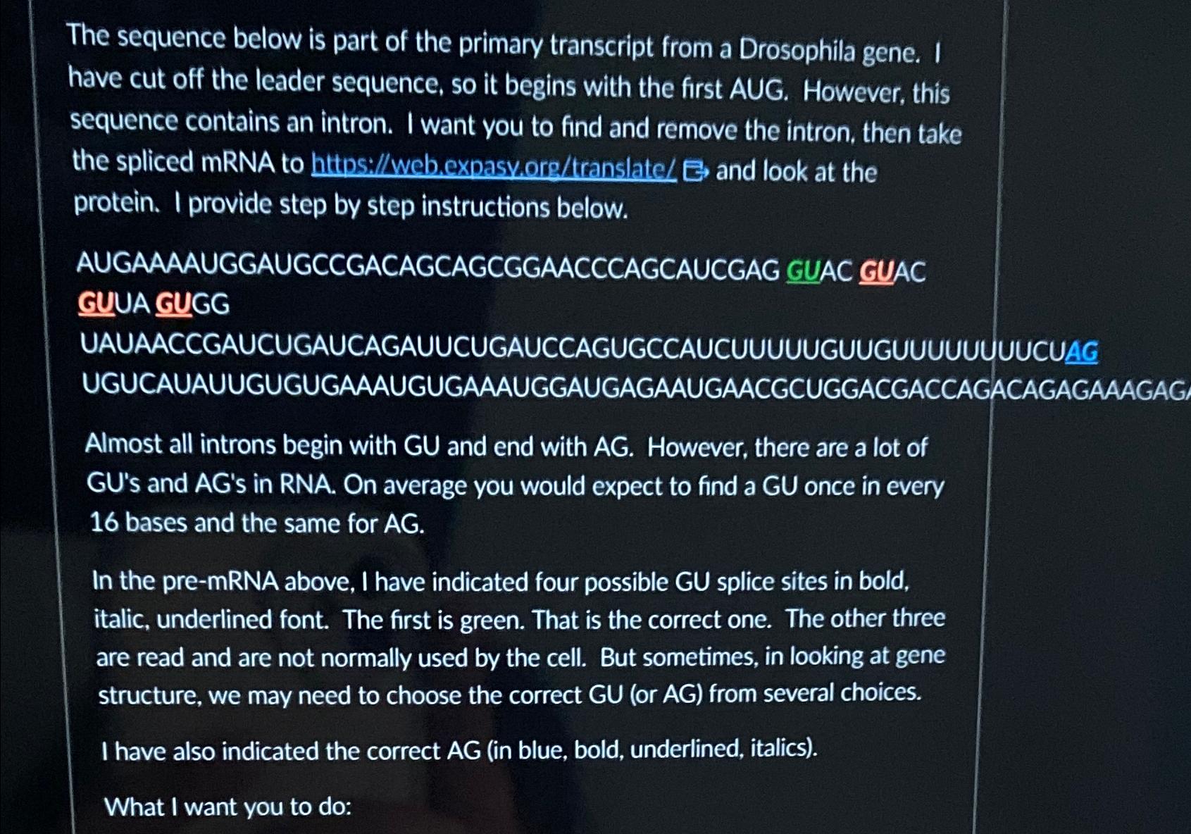 Solved The sequence below is part of the primary transcript | Chegg.com