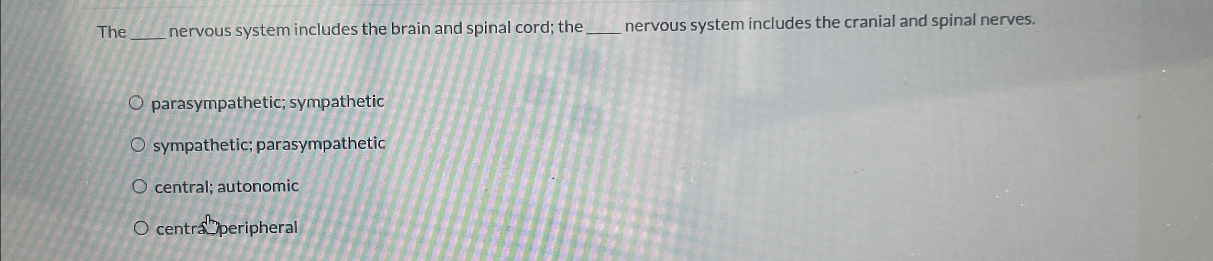 Solved The ﻿nervous system includes the brain and spinal | Chegg.com