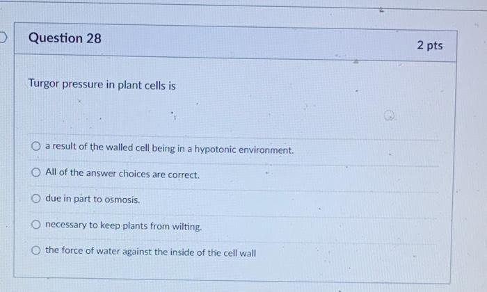Solved Turgor pressure in plant cells is a result of the | Chegg.com