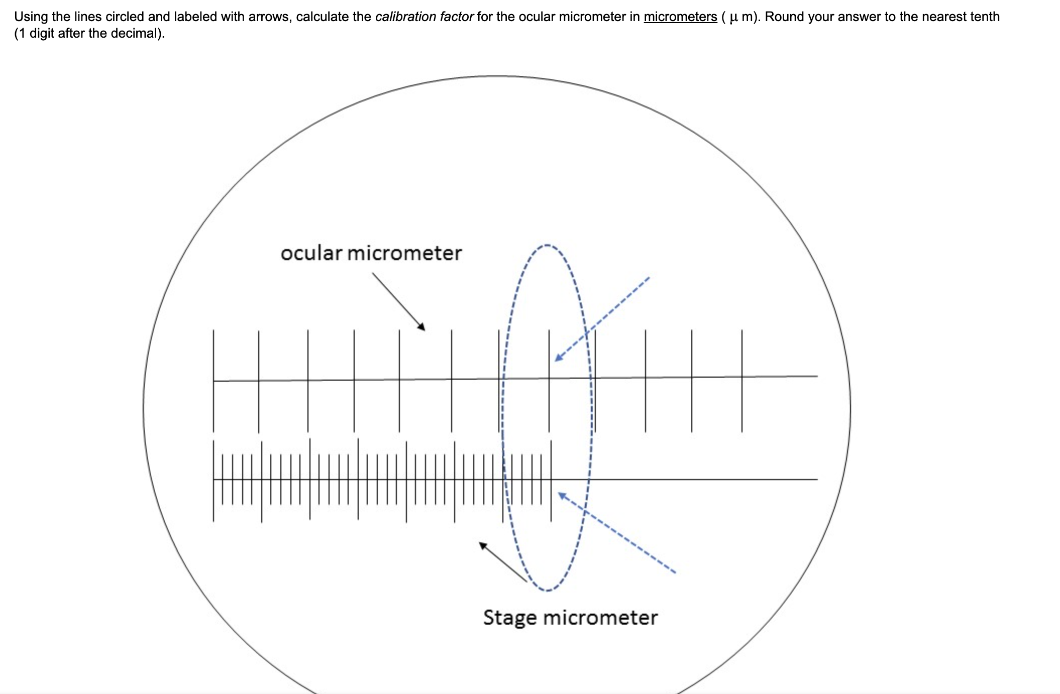 Solved Using the lines circled and labeled with arrows, | Chegg.com