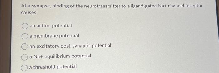 Solved At a synapse, binding of the neurotransmitter to a | Chegg.com