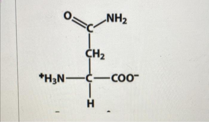 Solved SH CH2 +H3N-C-000- J-H O: NH2 CH2 *H3N-C-000- H | Chegg.com