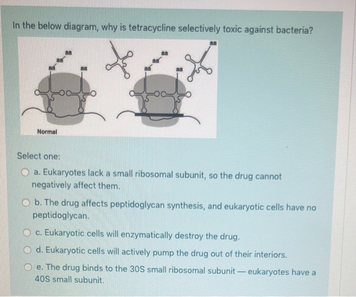 Solved In the below diagram, why is tetracycline selectively | Chegg.com