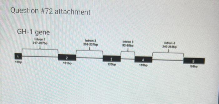 Solved Familial isolated growth hormone (GH) deficiency type | Chegg.com