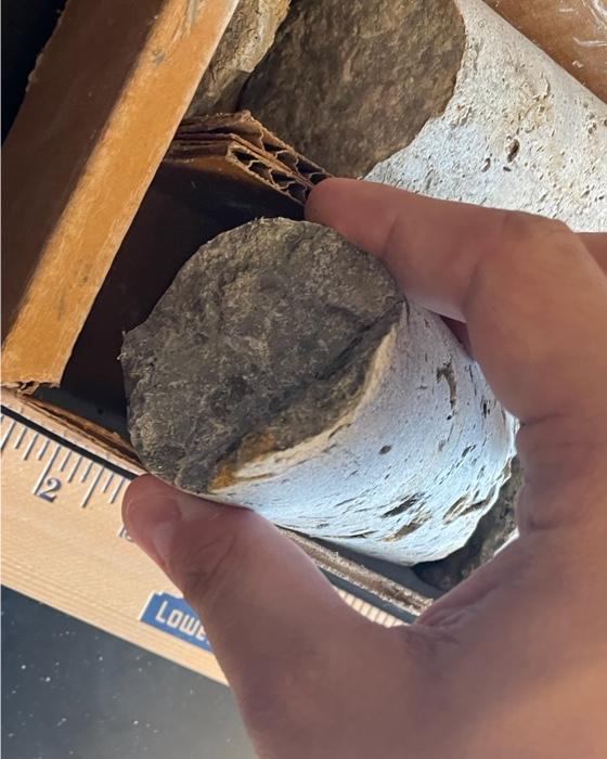 Solved Lithologic Symbols Shale Dolomite Limestone | Chegg.com