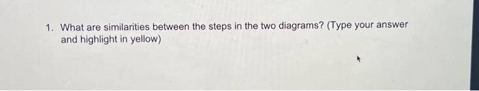 1. What are similarities between the steps in the two | Chegg.com