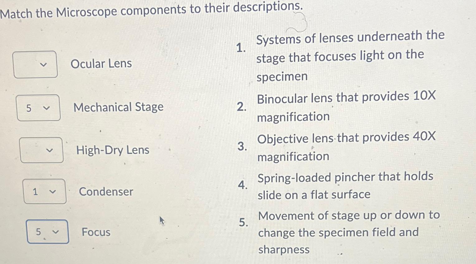 Solved Match the Microscope components to their | Chegg.com