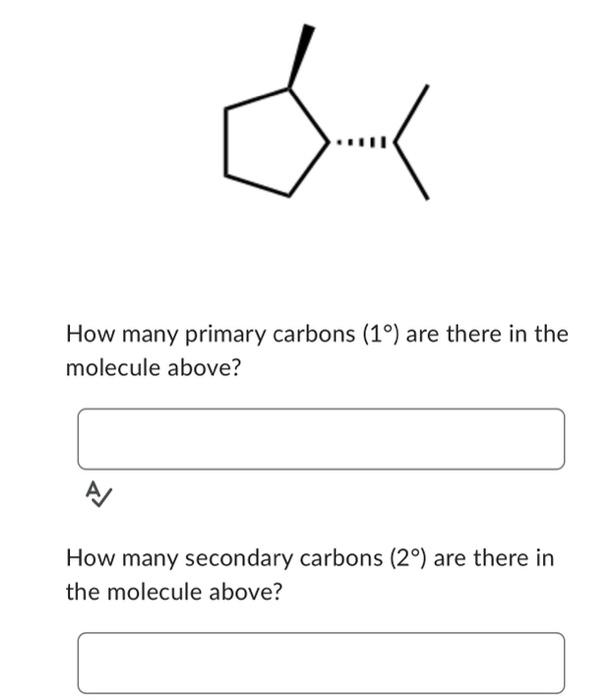 Solved How many primary carbons (1°) are there in the | Chegg.com