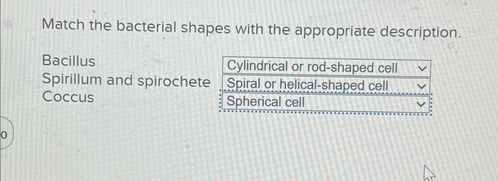 Solved Match the bacterial shapes with the appropriate | Chegg.com