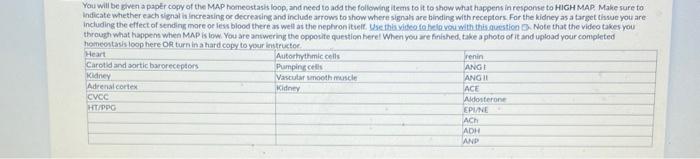 Solved You will be givesi a paptr cogy of the MAP | Chegg.com