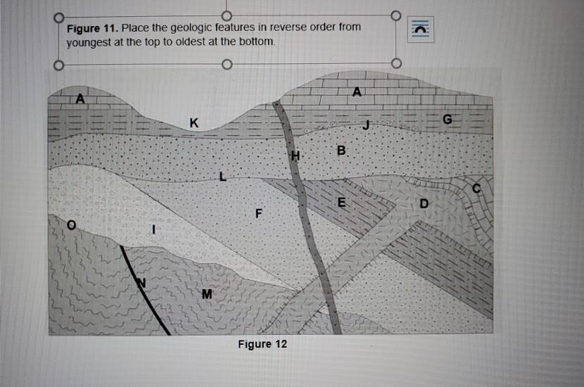 Solved Youngest B к N D M с -H Oldest Figure 11. Place the | Chegg.com