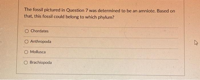 Solved Hrompus hyall, macilia and centary = 8 The above | Chegg.com