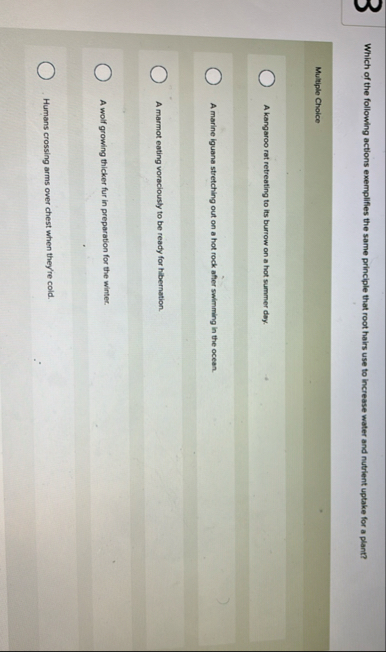 Solved Which of the following actions exemplifies the same | Chegg.com