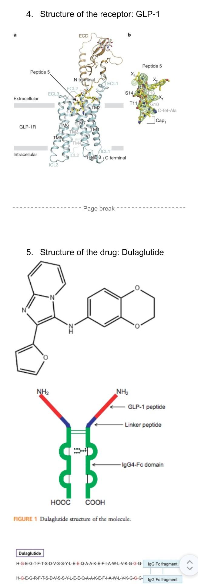 Solved please explain in full detail the Binding of | Chegg.com