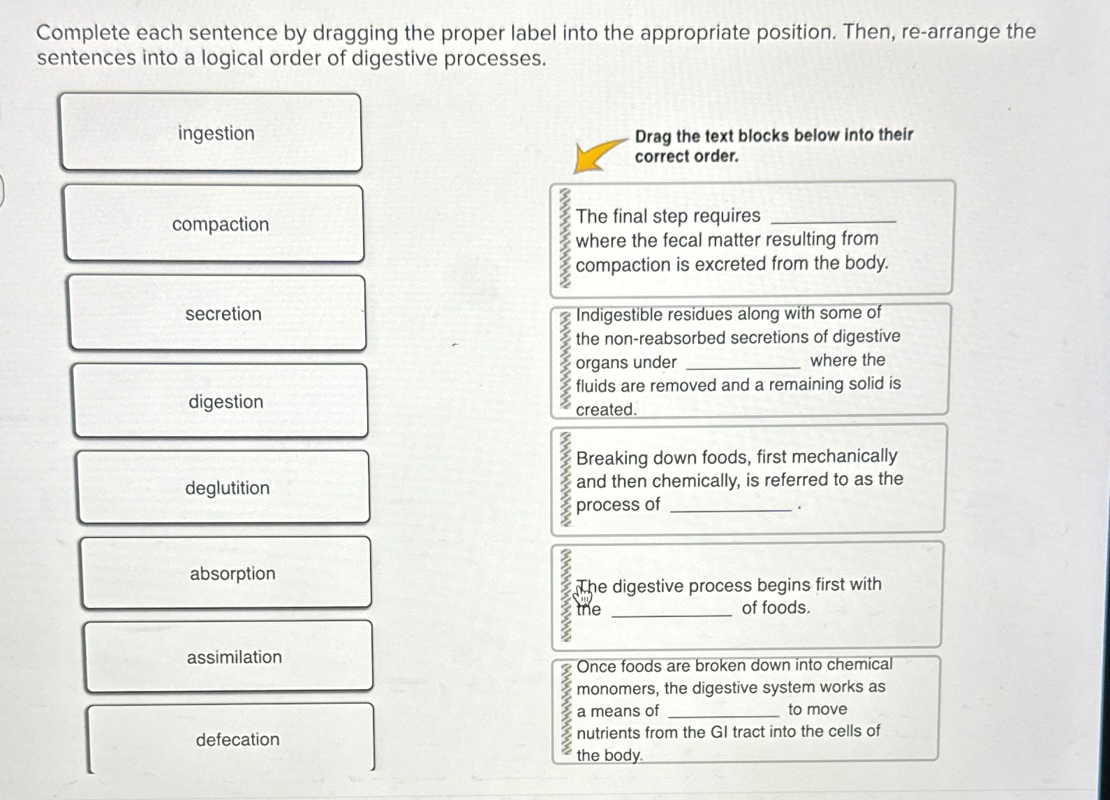 Solved Complete each sentence by dragging the proper label | Chegg.com