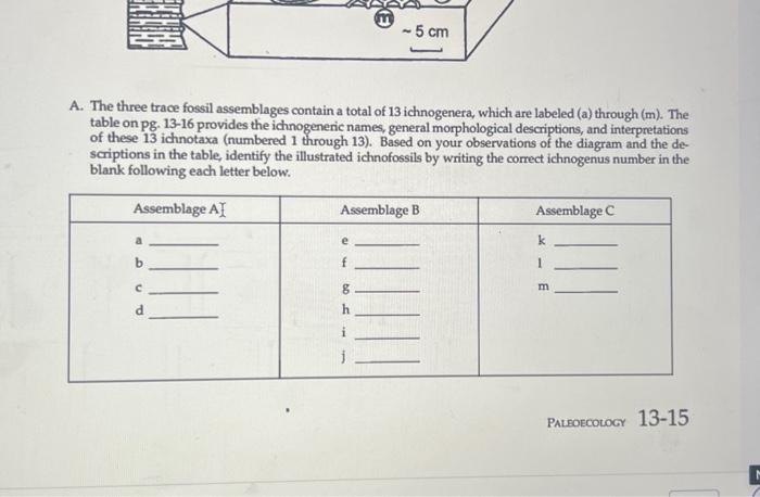 Solved B. The general characteristics of three recurring | Chegg.com