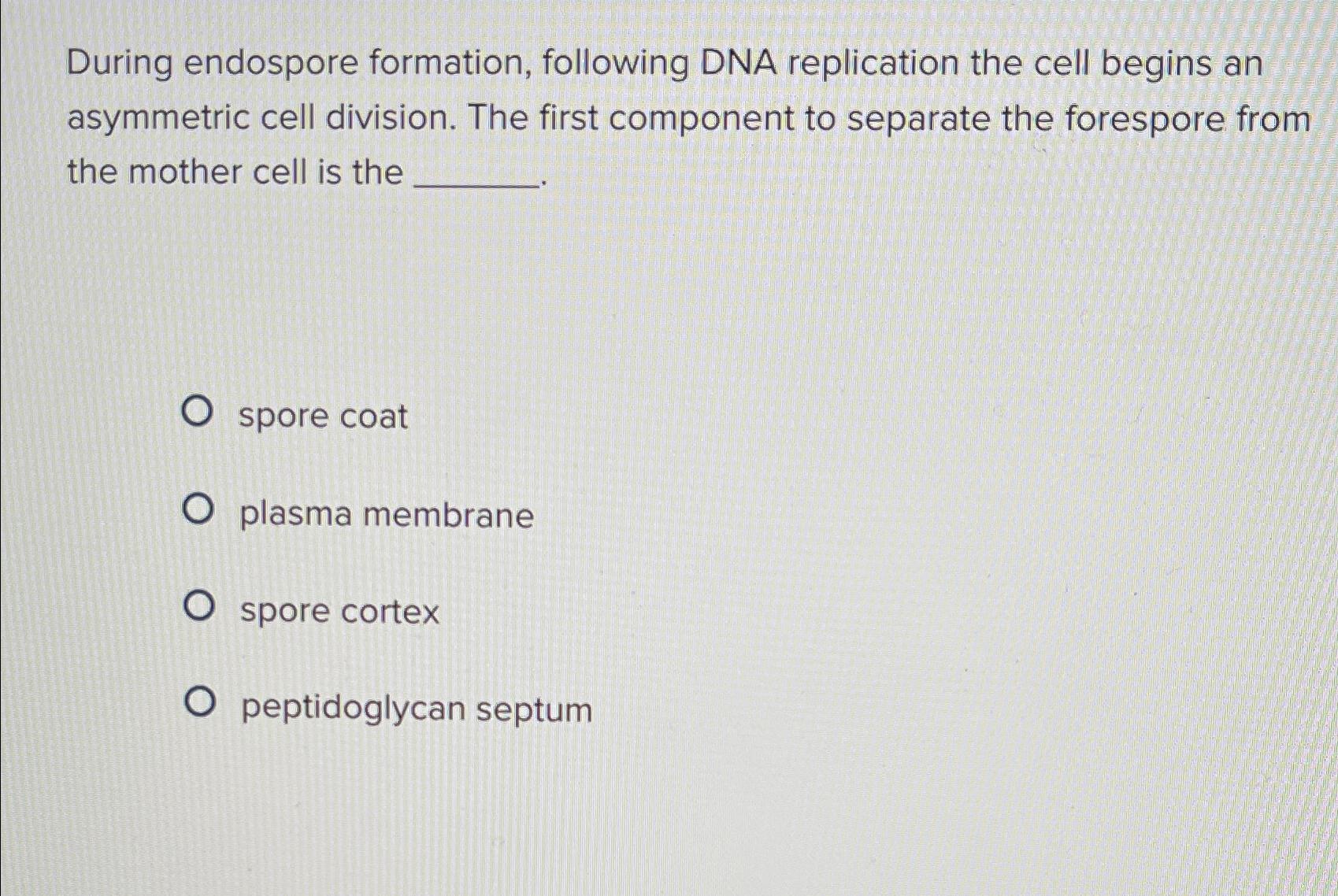 Solved During endospore formation, following DNA replication | Chegg.com