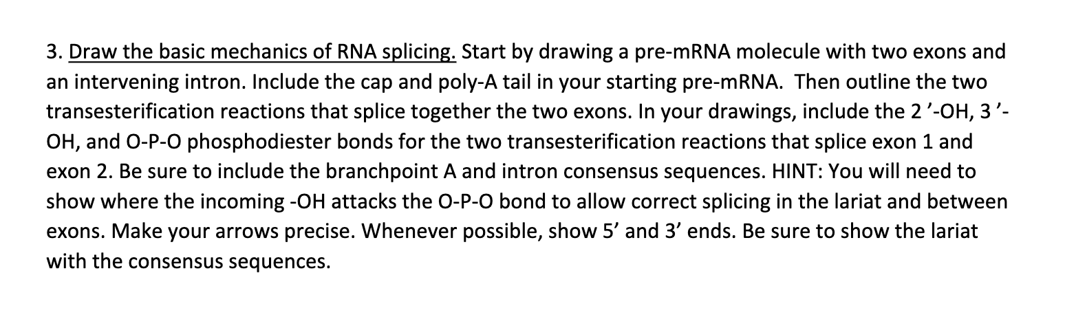3. ﻿Draw the basic mechanics of RNA splicing. Start | Chegg.com