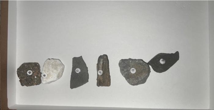 Solved 1. A possible protolith for Sample M is: a. | Chegg.com