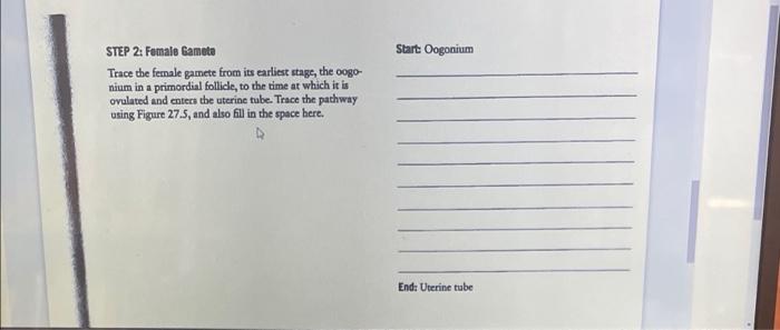 Solved PROCEDURE 3 Time to Trace In this exercise you will | Chegg.com