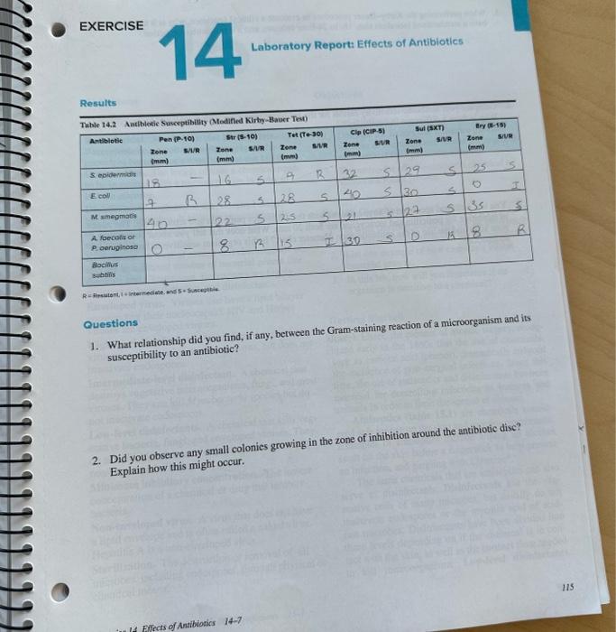 EXERCISE Laboratory Report: Effects of Antibiotics | Chegg.com