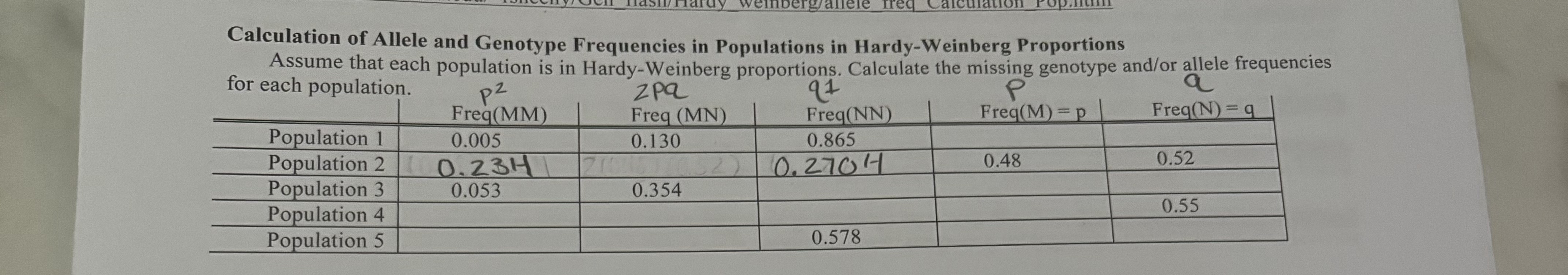 Solved Calculation of Allele and Genotype Frequencies in | Chegg.com
