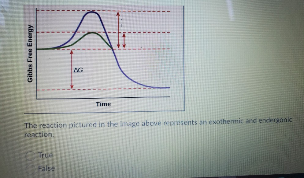 Solved Gibbs Free Energy AG Time The reaction pictured in | Chegg.com