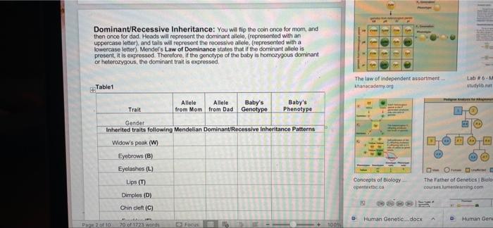 Solved Dominant/Recessive Inheritance: You will flip the | Chegg.com