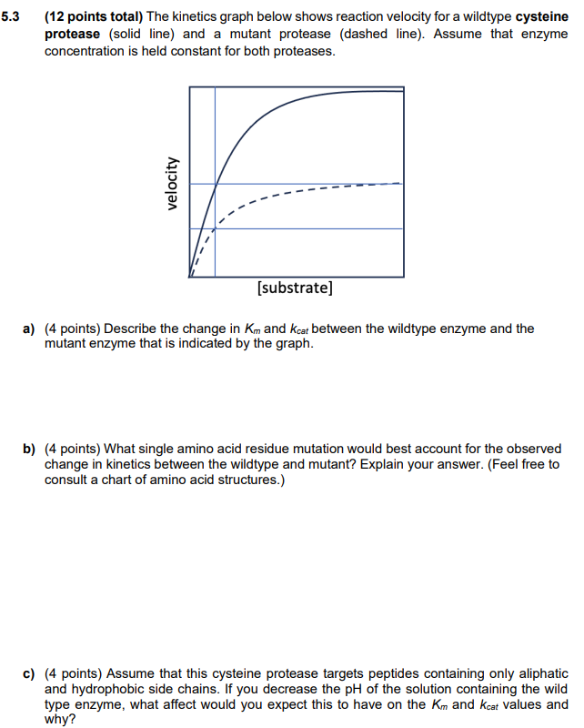Solved The kinetics graph below shows reaction velocity for | Chegg.com
