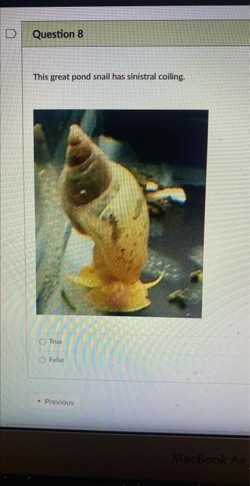 Solved This great pond snail has sinistral coiling. True | Chegg.com