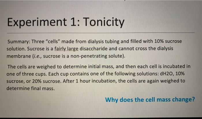 Solved Background: Tonicity Practice Problem If we place a | Chegg.com
