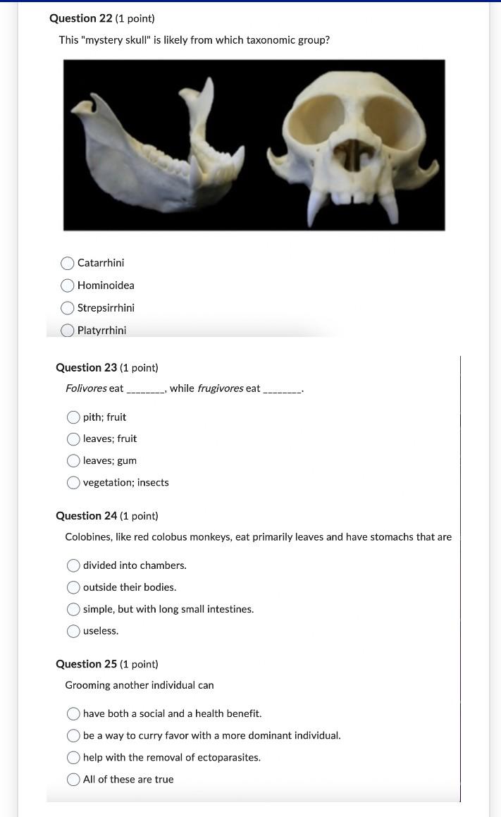 Solved This "mystery skull" is likely from which taxonomic | Chegg.com